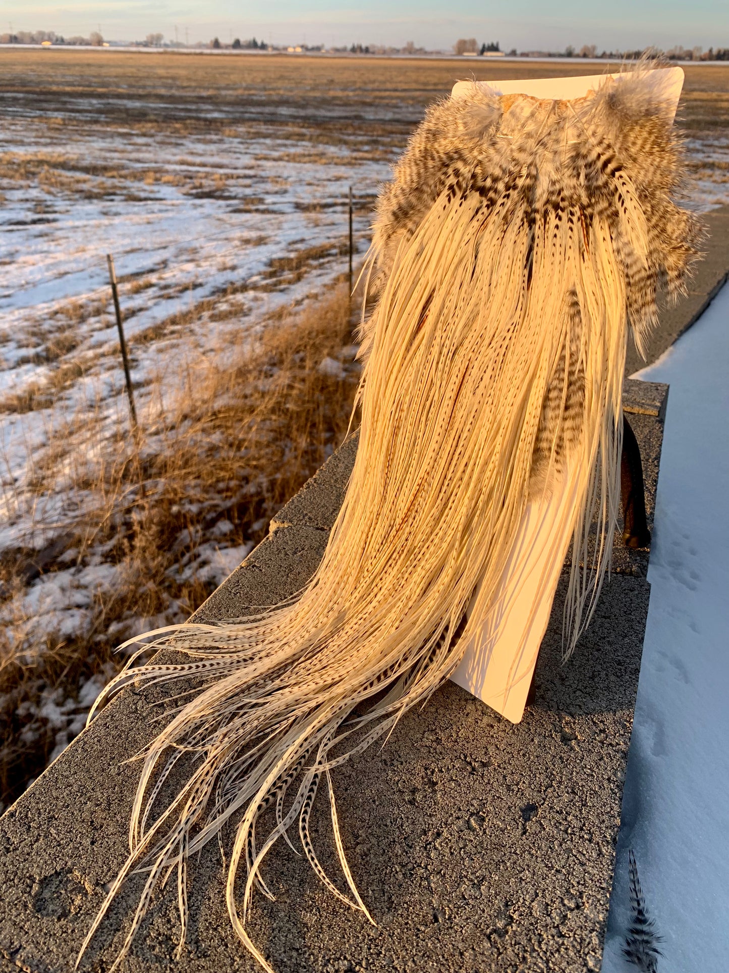 fly tying hackle inspired by earth’s natural beauty – Borealis Hackle