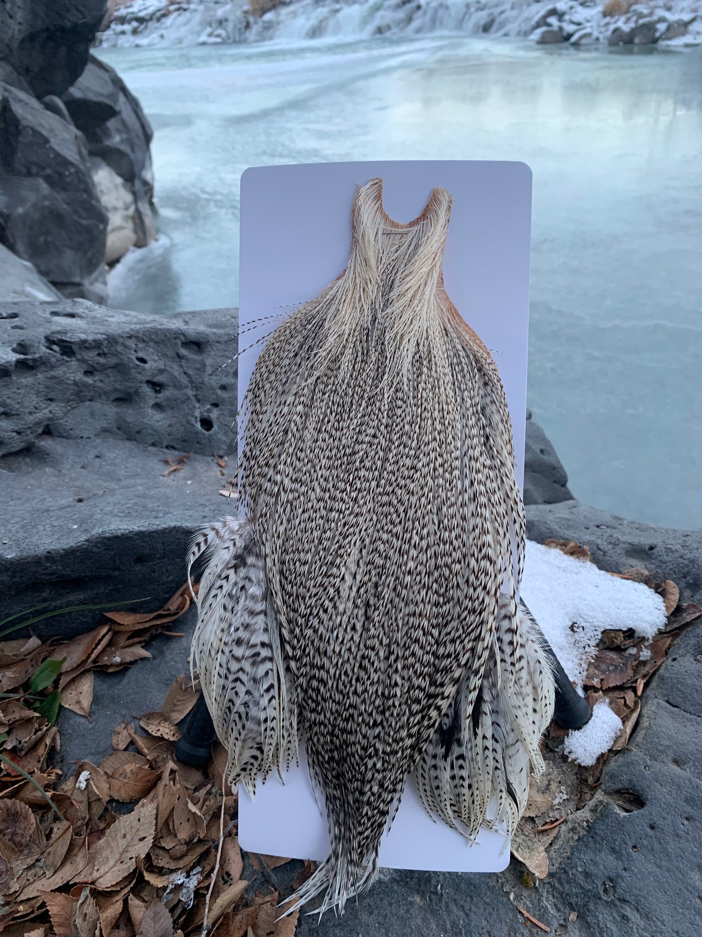 fly tying hackle inspired by earth’s natural beauty – Borealis Hackle