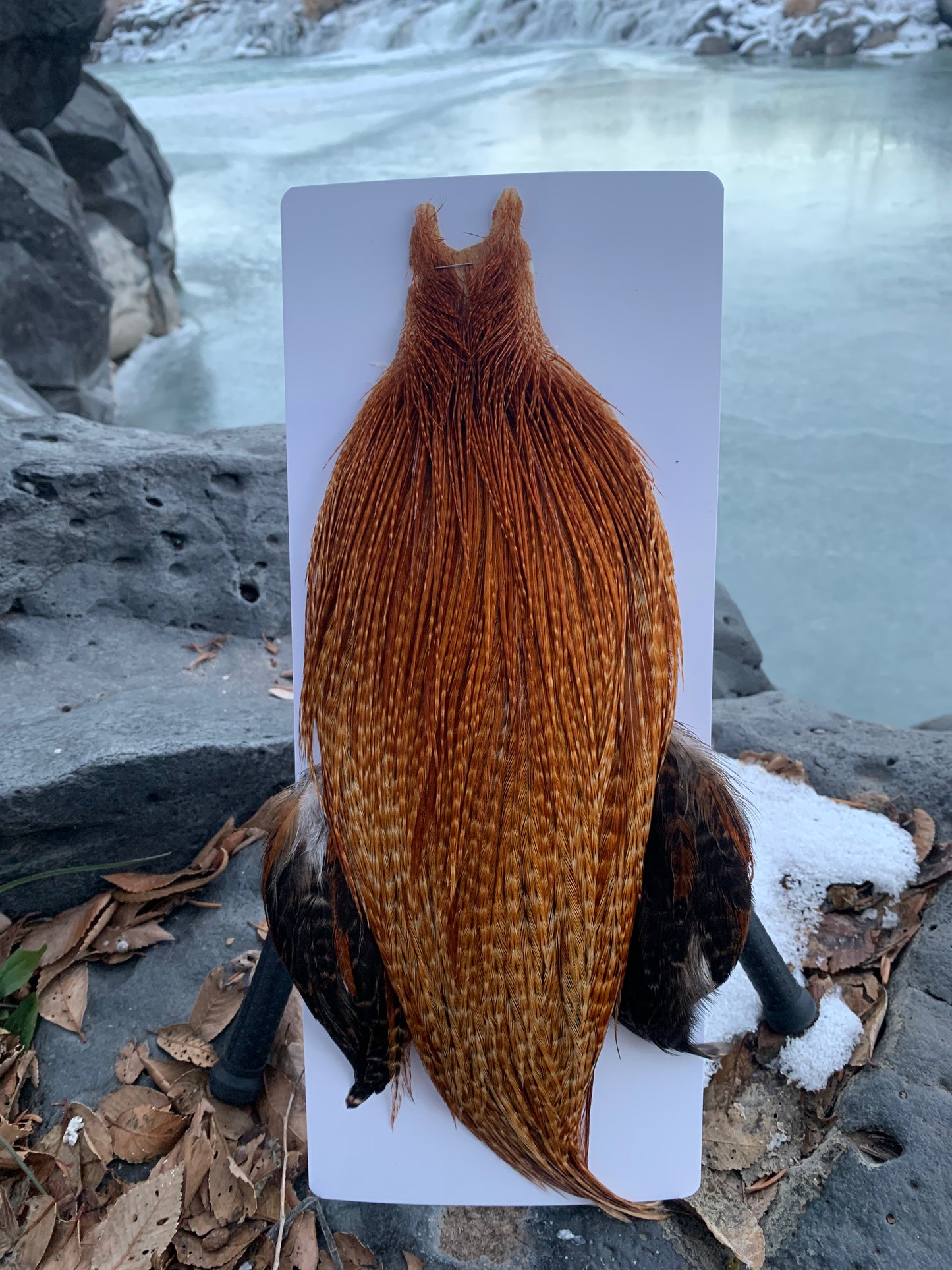 fly tying hackle inspired by earth’s natural beauty – Borealis Hackle