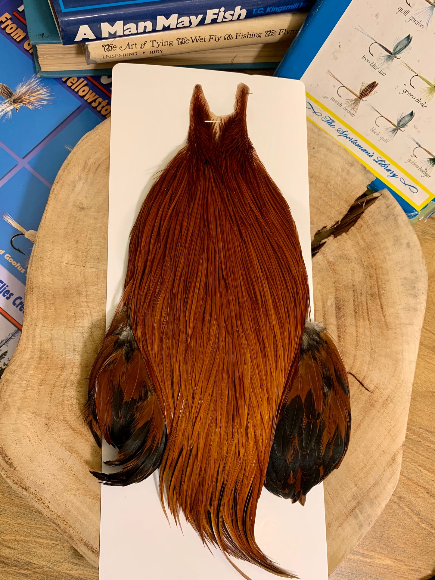 fly tying hackle inspired by earth’s natural beauty – Borealis Hackle