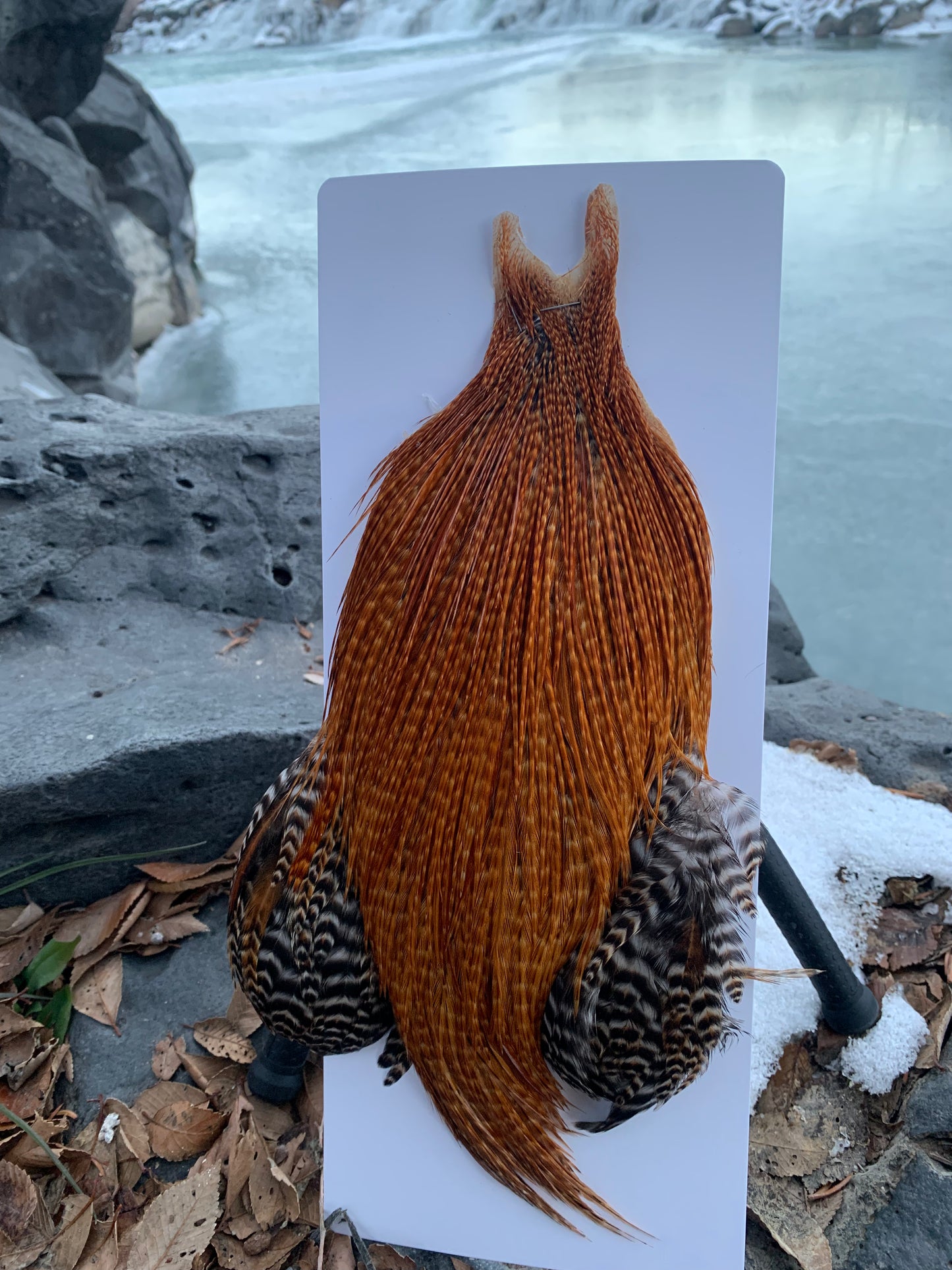 fly tying hackle inspired by earth’s natural beauty – Borealis Hackle