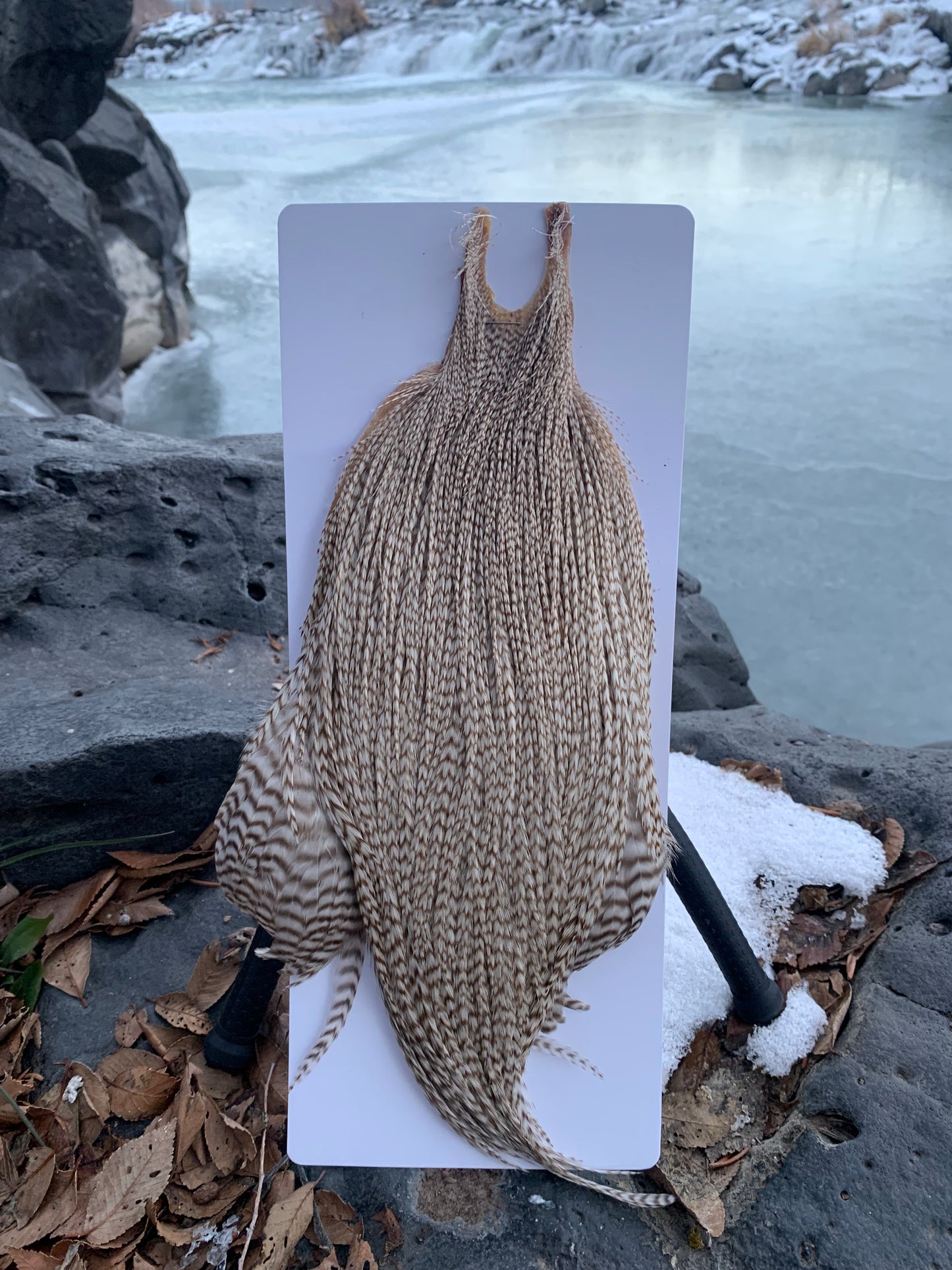 fly tying hackle inspired by earth’s natural beauty – Borealis Hackle