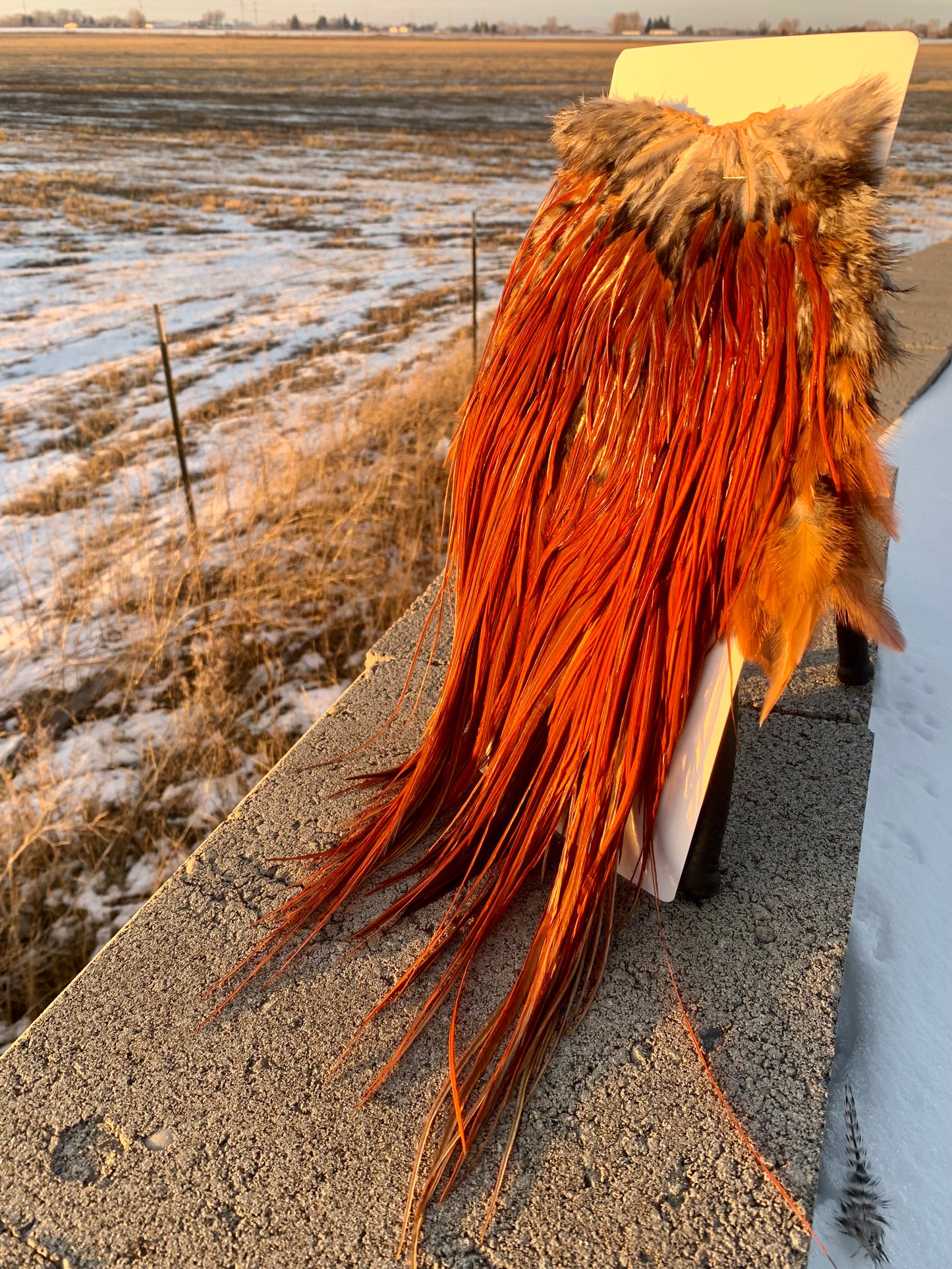 fly tying hackle inspired by earth’s natural beauty – Borealis Hackle