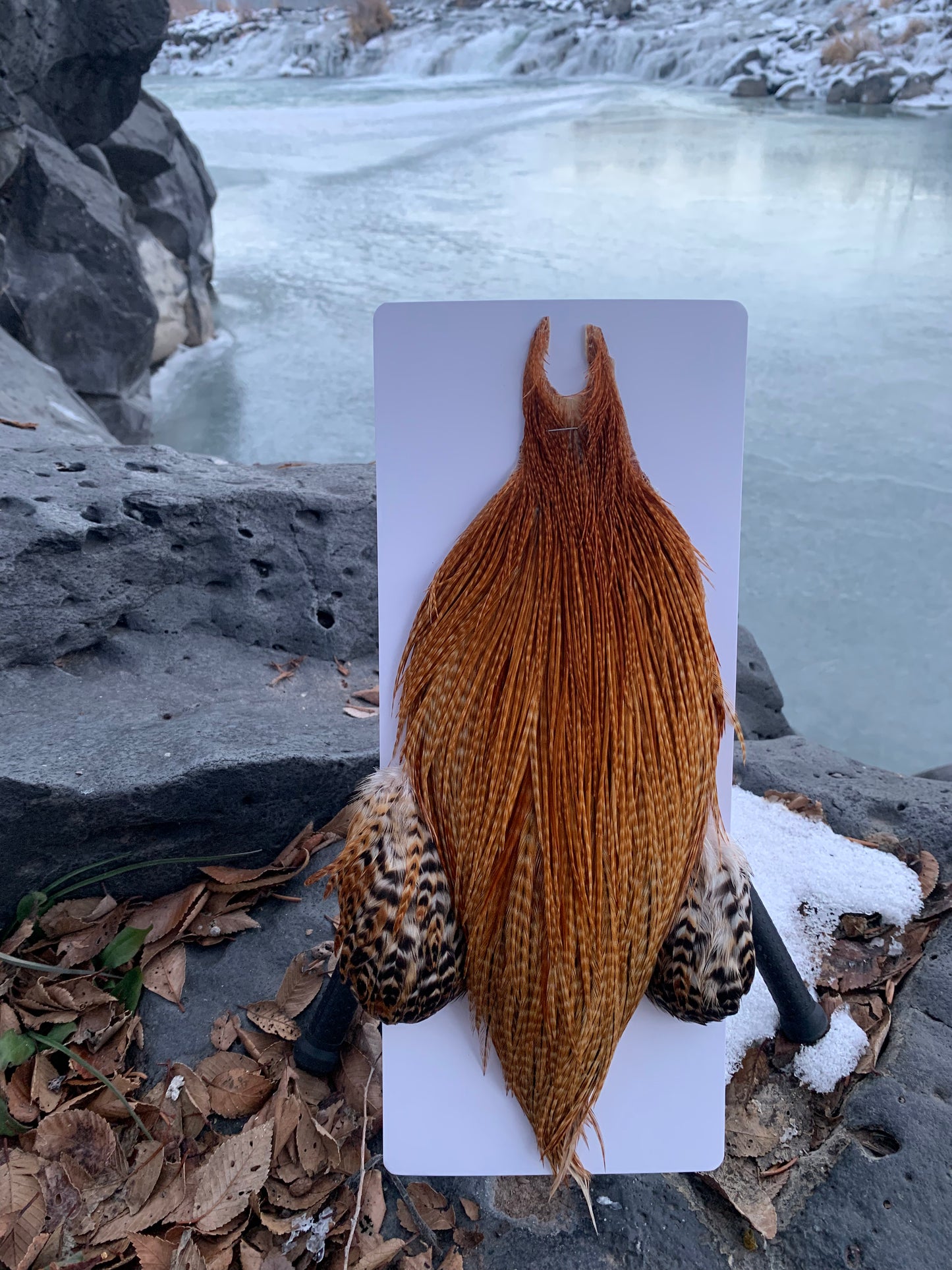 fly tying hackle inspired by earth’s natural beauty – Borealis Hackle