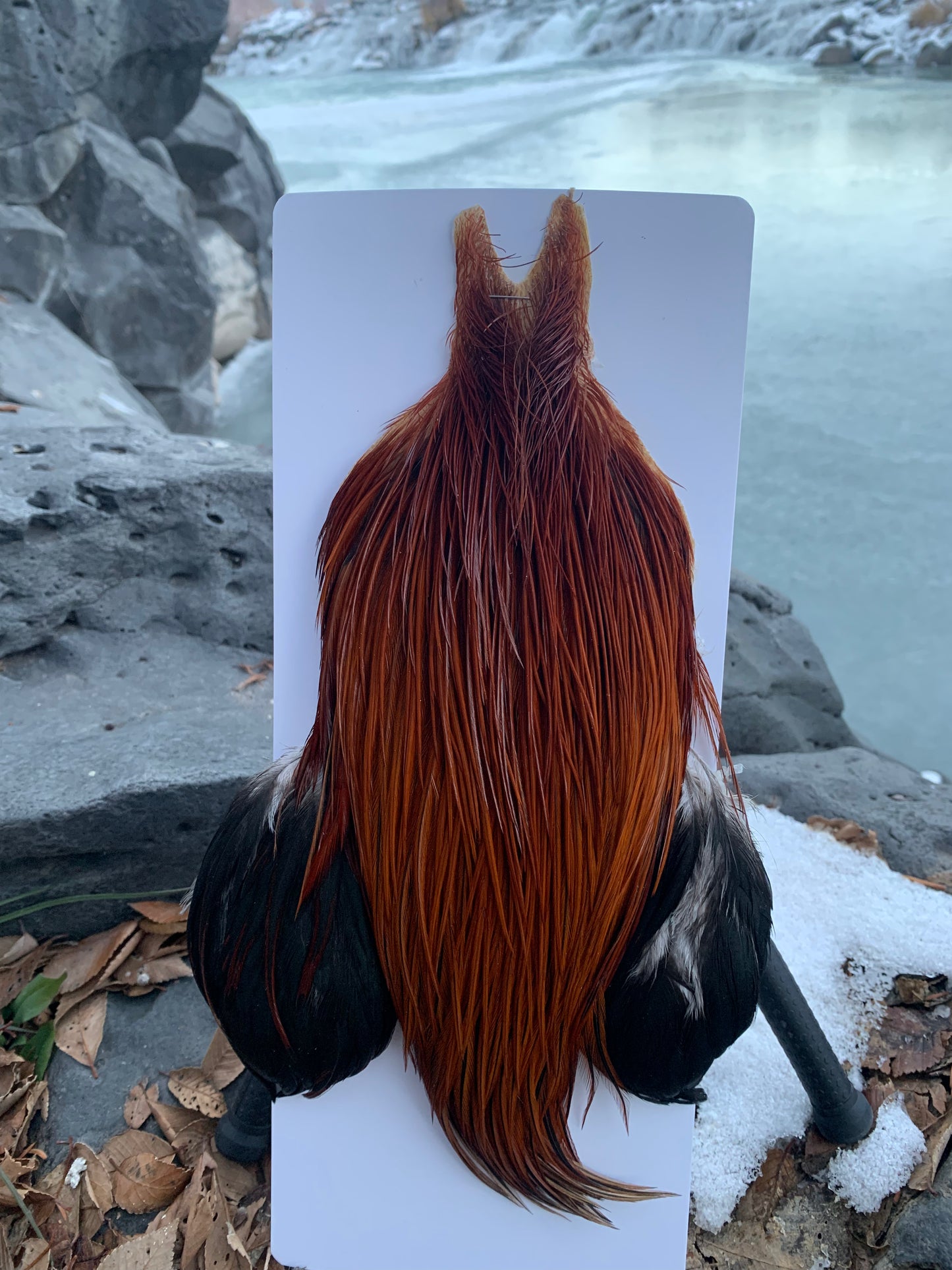 fly tying hackle inspired by earth’s natural beauty – Borealis Hackle