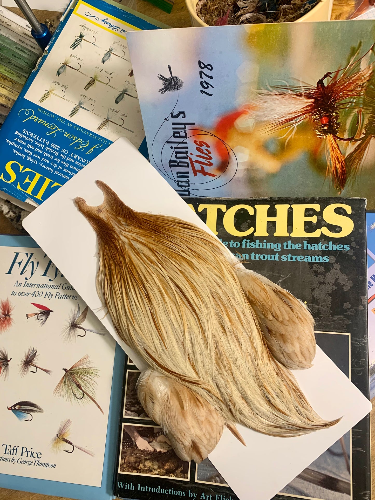 fly tying hackle inspired by earth’s natural beauty – Borealis Hackle